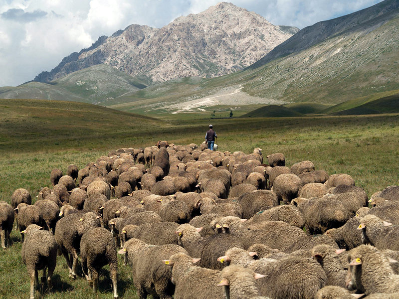 Walking history: along the sheep-tracks of transhumance | Strada dei Parchi